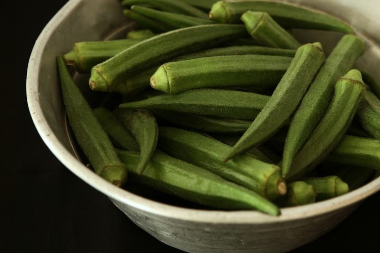 Discovering Okra: A Visual Guide to Identifying Okra Plants – Lawn ...