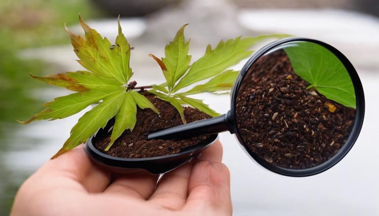 Planting a Japanese Maple Seed: A Beginner’s Guide – Lawn World ...